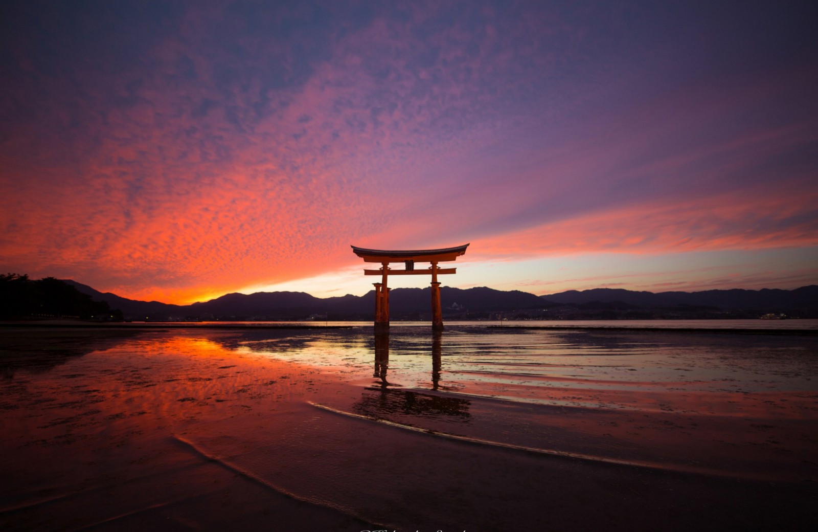 Hidenobu Suzuki y la idílica tranquilidad de Japón