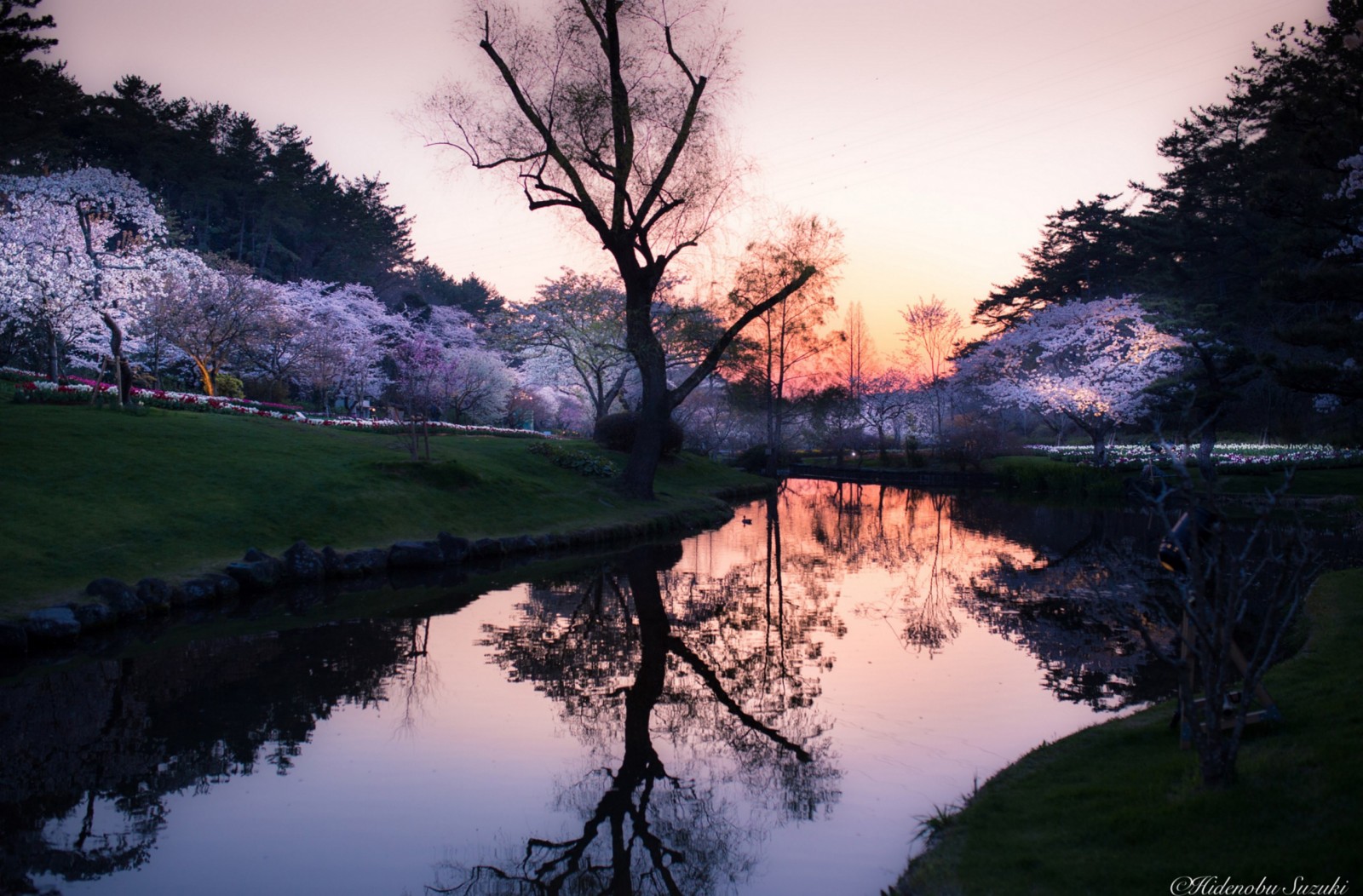 Hidenobu Suzuki y la idílica tranquilidad de Japón