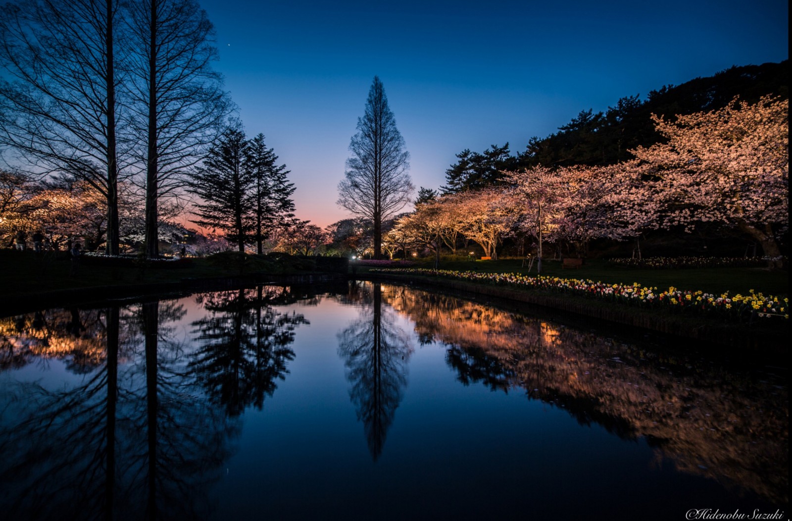 Hidenobu Suzuki y la idílica tranquilidad de Japón